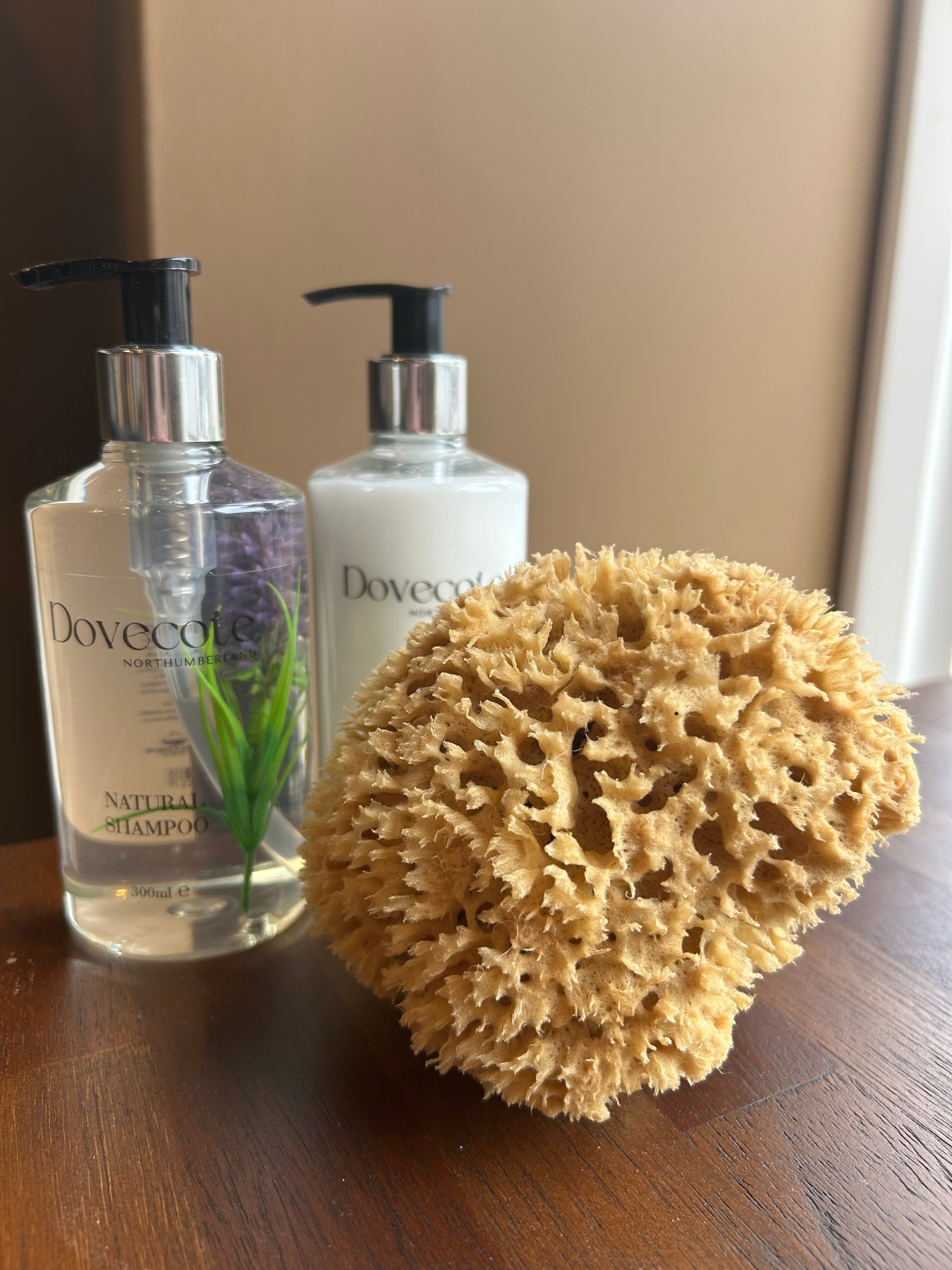 XL Natural Sea Sponge – Dovecote Northumberland Ltd